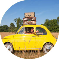 AvoSeedo The easiest way to raise / germinate your avocados! | Grow ...