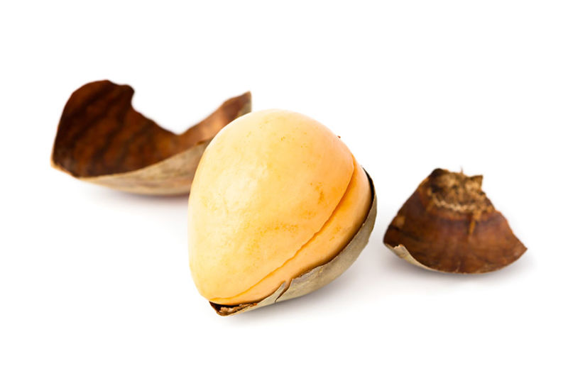 Recycling Avocado Pits Into Nutritious Beverages - AvoSeedo