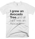 Home - AvoSeedo - Grow your own Avocado Tree!