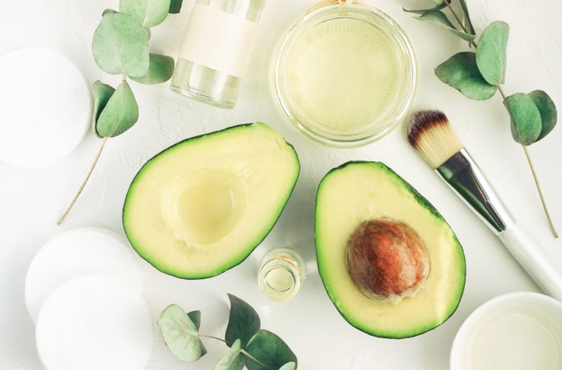 AvoSeedo - Grow your own Avocado Tree! - Grow Avocados Easily with AvoSeedo