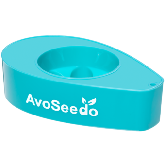 AvoSeedo - AvoSeedo - Grow your own Avocado Tree!