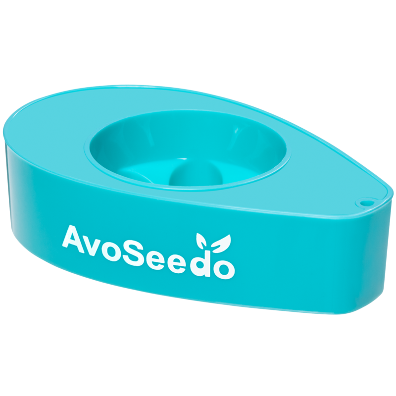 AvoSeedo - AvoSeedo - Grow your own Avocado Tree!