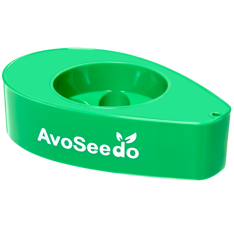 AvoSeedo - AvoSeedo - Grow your own Avocado Tree!