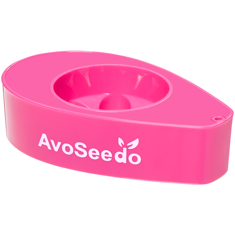 AvoSeedo 3-Pack - AvoSeedo - Grow your own Avocado Tree!