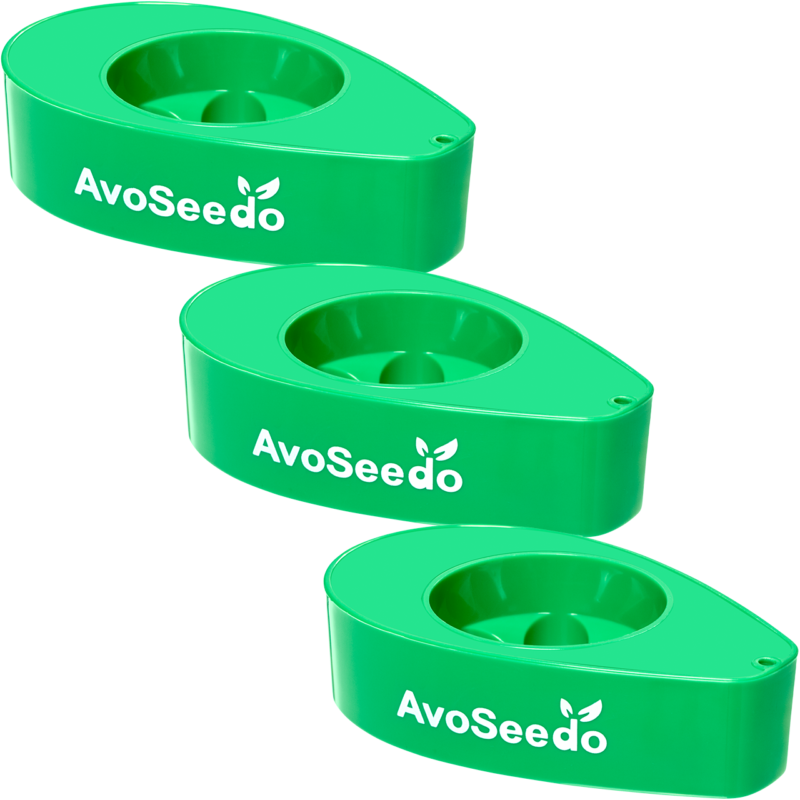 Archive - AvoSeedo - Grow your own Avocado Tree!