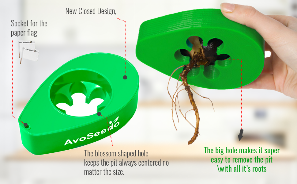 Avocado Lover Gift Box - AvoSeedo - Grow your own Avocado Tree!