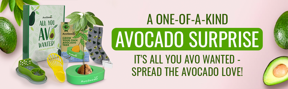 Avocado Lover Gift Box - AvoSeedo - Grow your own Avocado Tree!